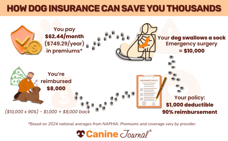 Is Pet Insurance Worth It In 2026? How Does Pet Insurance Work?