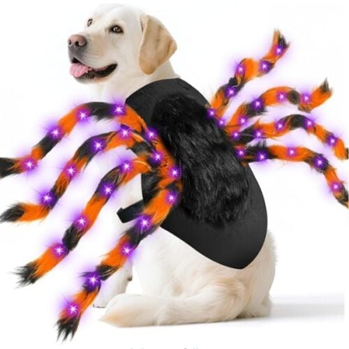 25+ Dog Halloween Costumes So Bad They’re Frightfully Amazing - Canine ...