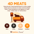 Boost Your Dog’s Health With These 8 Homemade Meals - Canine Journal