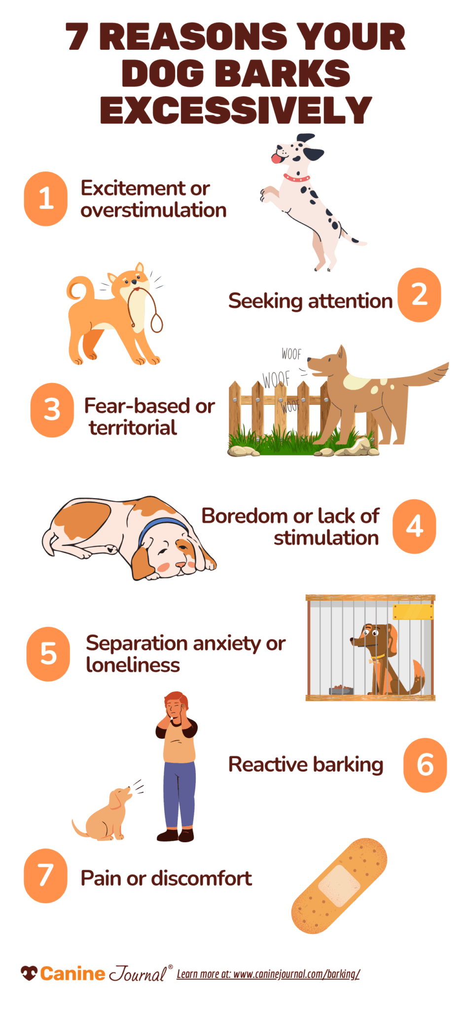 Unlocking The Silence: Why Dogs Bark So Much & What You Can Do About It ...