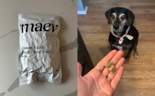 Maev Dog Food Review: Raw Subscription, Bone Broth & Supplements ...
