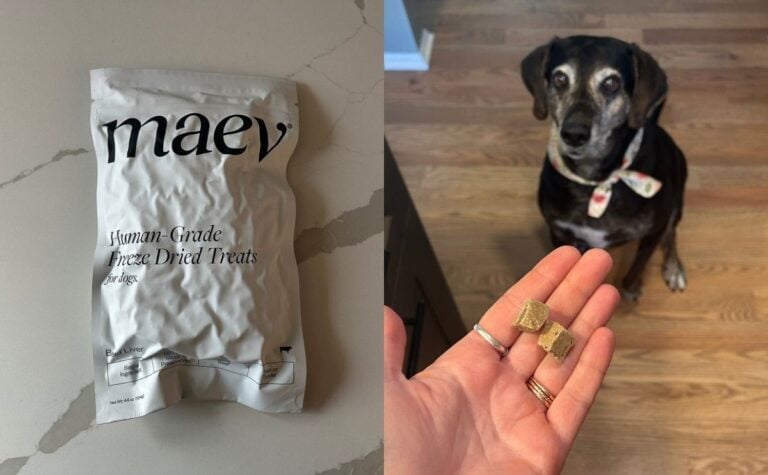 Maev Dog Food Review: Raw Subscription, Bone Broth & Supplements ...