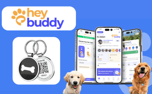 HeyBuddy Dog Tag Review: A Reliable Way To Find Your Lost Pet? - Canine ...