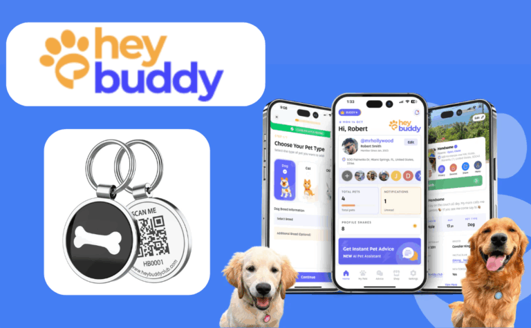 HeyBuddy Dog Tag Review: A Reliable Way To Find Your Lost Pet? - Canine Journal