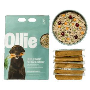 What Is The Healthiest Dog Food? See Our Top Picks For All Types Of ...