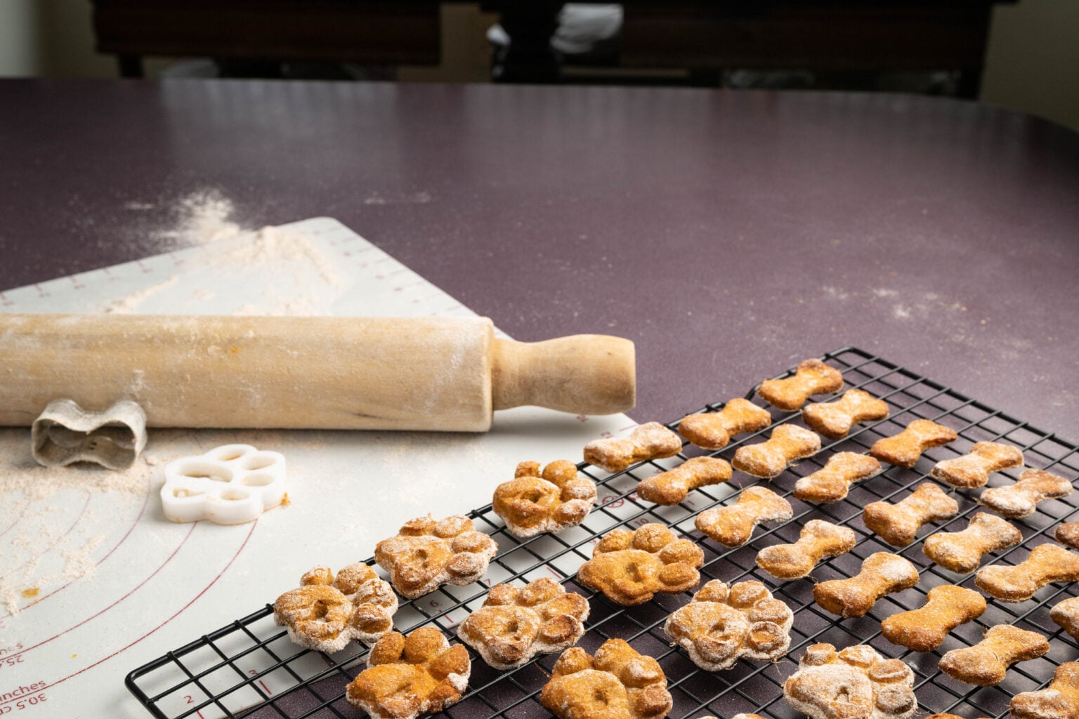 Top 8 Sweet Potato Dog Treats Every Pup Obsesses Over