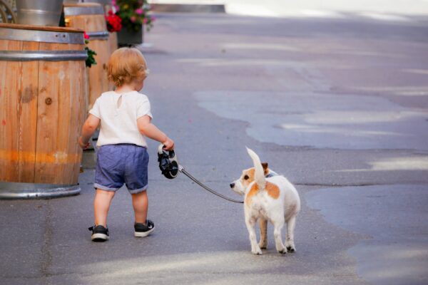 10 Best Family Guard Dogs That Are Fierce... And Full Of Love - Canine ...