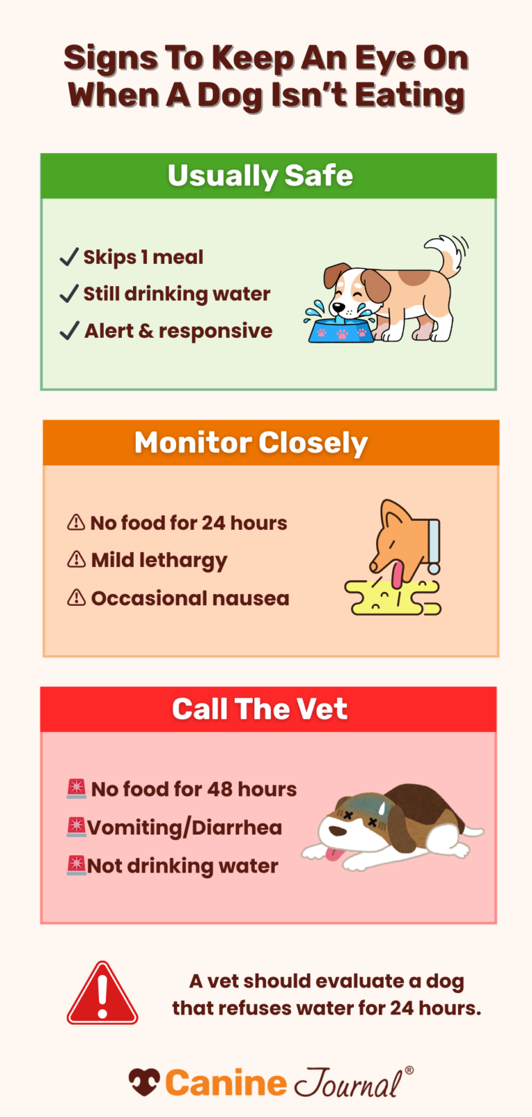 Safe Home Remedies For A Sick Dog Not Eating (And When It’s Time To ...