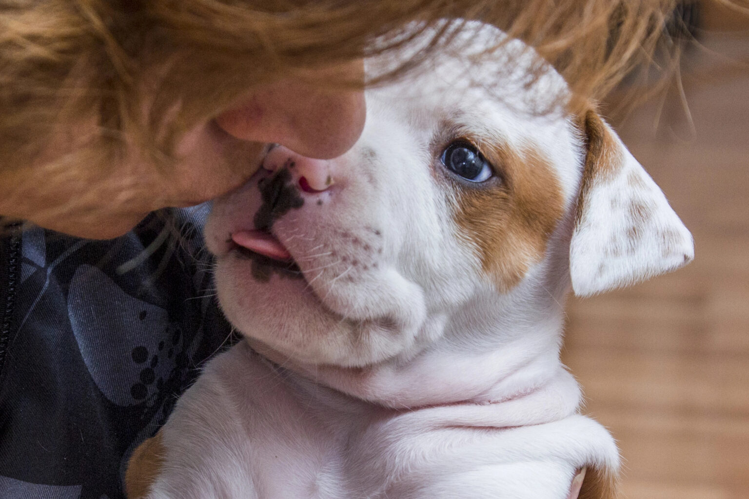 Your Dog Isn’t Just Kissing You — Here’s Why They Lick Your Face ...