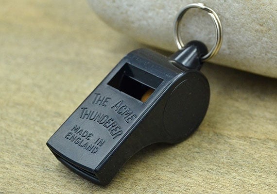 5 Best Dog Whistles For Training & Hunting (21+ Tested!) - Canine Journal