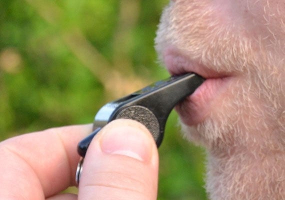5 Best Dog Whistles For Training & Hunting (21+ Tested!) - Canine Journal