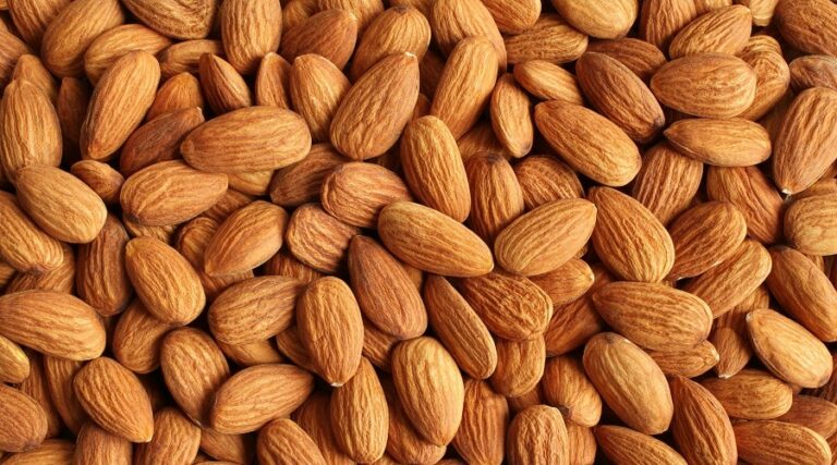 Can Dogs Eat Almonds? Don’t Go Nuts Just Yet! - Canine Journal