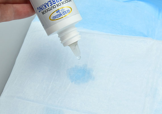 Top 3 Best Potty Training Spray Attractants (15 Tested!) | Canine Journal