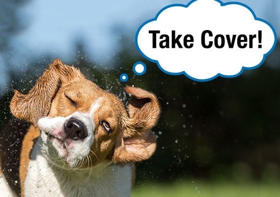 4 Best No-spill Dog Bowls For Sloppy Drinkers (17 Tested) | Canine Journal