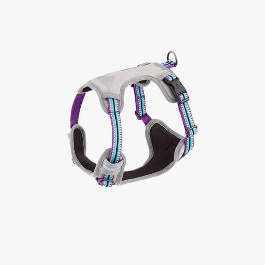 Best Harnesses For Corgis: Ratings, Reviews & Top Picks | Canine Journal