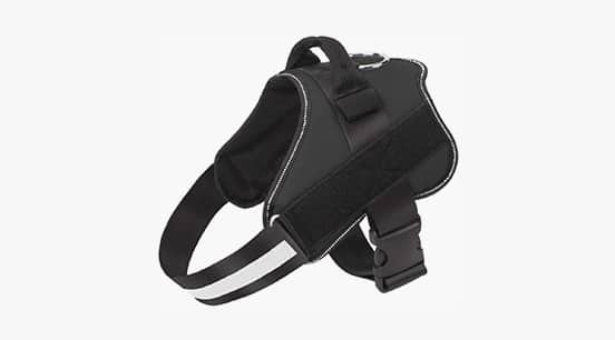 Best Harnesses For Pugs: Ratings, Reviews & Top Picks | Canine Journal