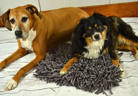 The 2 Best Snuffle Mats For Dogs (7 Tested & Reviewed!) | Canine Journal