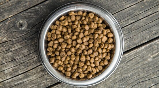 Rottweiler Feeding Chart: How Much To Feed Your Rottie Puppy - Canine ...