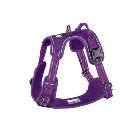 Best Harness For Standard Poodles: Ratings, Reviews, Top Picks | Canine ...
