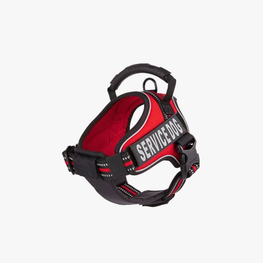 Best Harnesses For Boxers: Ratings, Reviews & Top Picks | Canine Journal