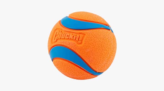 Biggest Dog Toys For Giant Breeds: Ratings & Reviews | Canine Journal