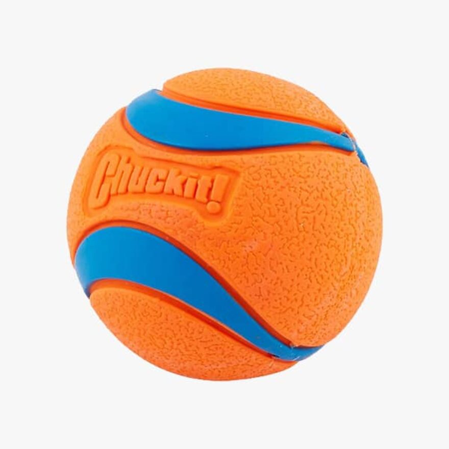 Best Dog Toys for Pitbulls: Ratings, Reviews, & Top Picks | Canine Journal