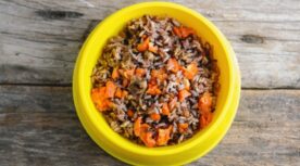 They Called It "Floor Sweepings" — So Why Is It In Your Dog’s Dinner ...
