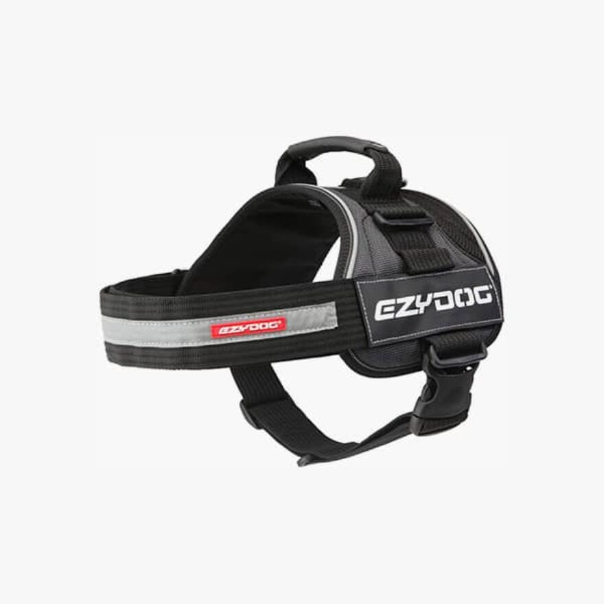 Best Dog Harnesses For Running: Ratings & Reviews - Canine Journal