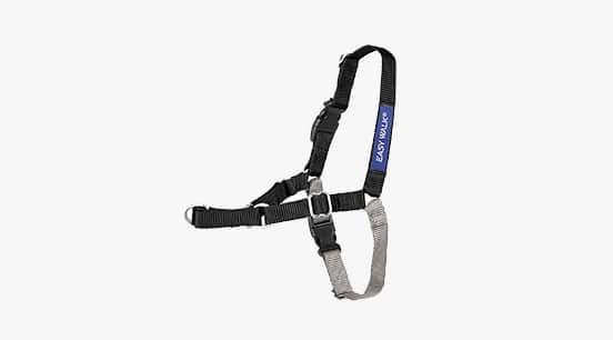 Best Harnesses For Labrador Retrievers: Ratings & Reviews | Canine Journal