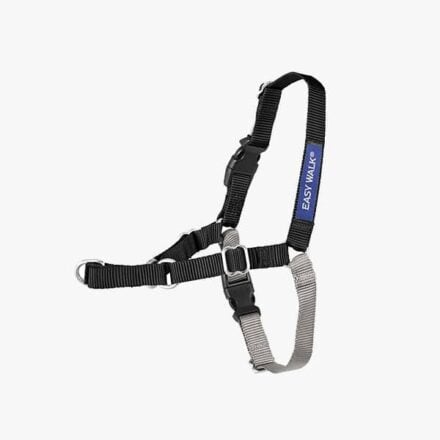Best Harnesses For Labrador Retrievers: Ratings & Reviews | Canine Journal