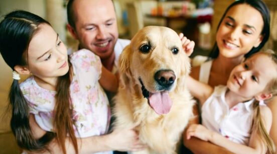 Looking for the Best Family Dogs? These Breeds Check Every Box