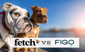 Fetch by The Dodo vs Figo: Choose The Best Pet Insurance For Your Dog