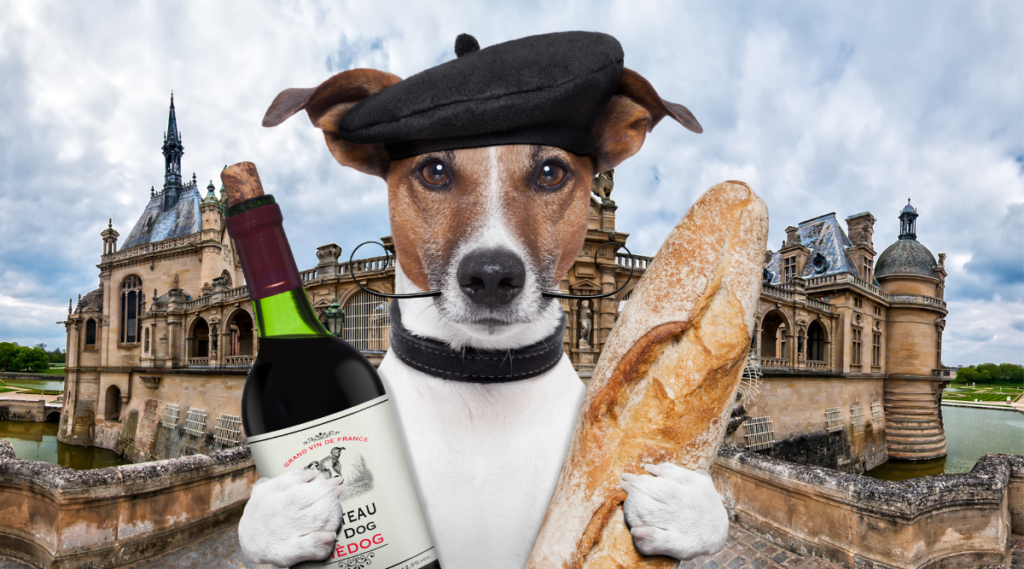 French Dog Breeds: 27 Canines From France - Canine Journal