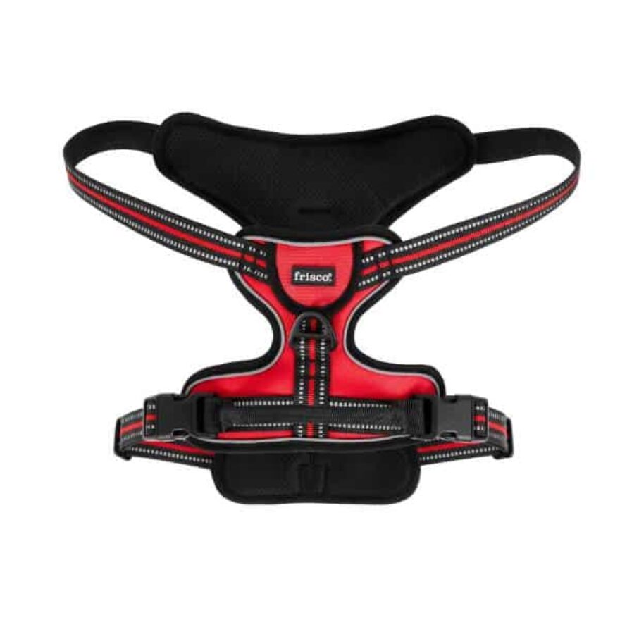 Best Harness For Standard Poodles: Ratings, Reviews, Top Picks | Canine ...