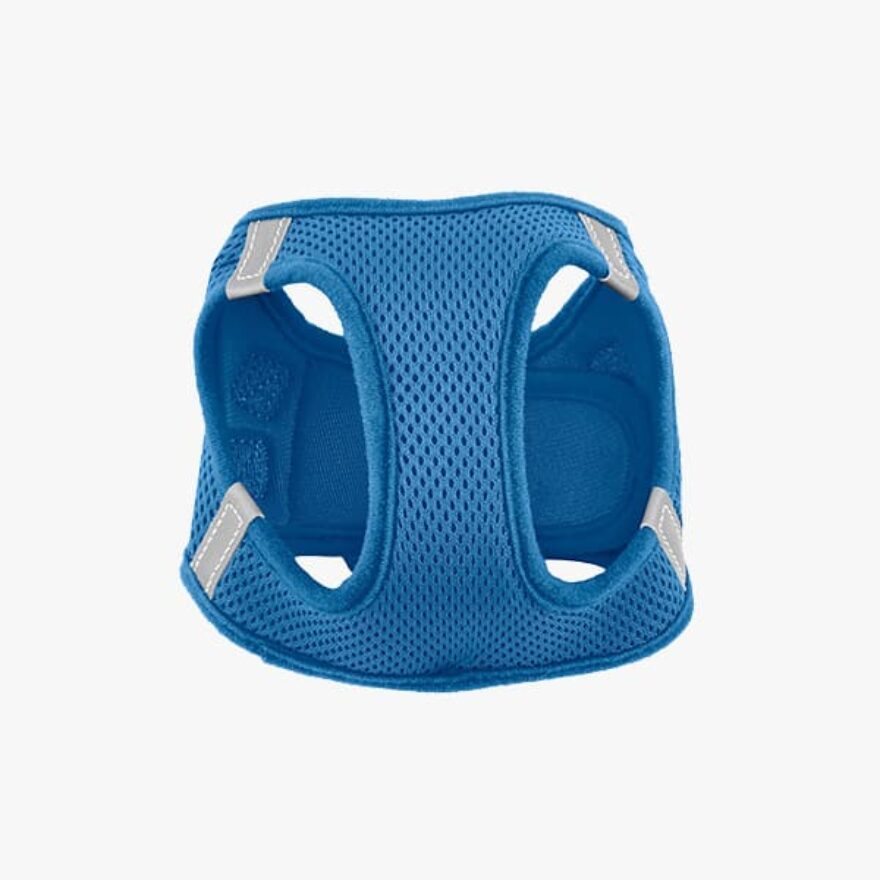 Best Harnesses For Corgis: Ratings, Reviews & Top Picks | Canine Journal