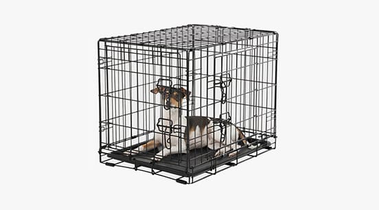 Best Dog Crates For Beagles: Ratings, Reviews & Sizes | Canine Journal