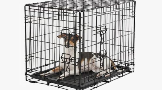 Best Dog Crates For Boxers: Kennel Types, Sizes & More | Canine Journal