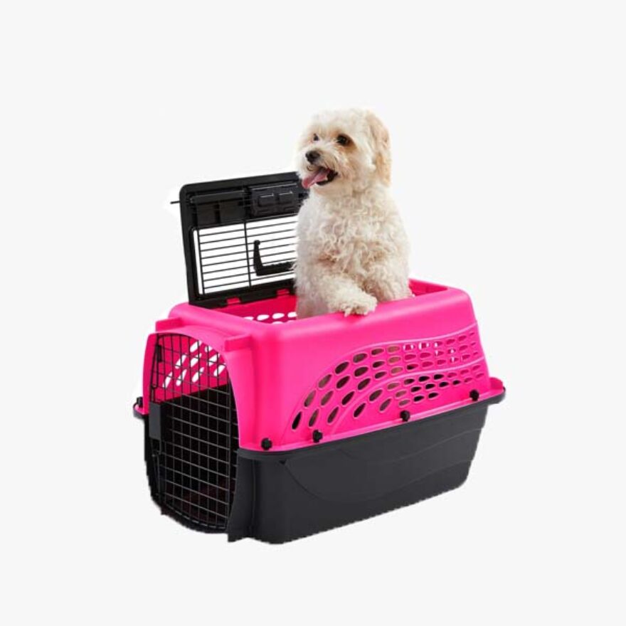 Best Dog Crates For Cars: Protect Your Dog With These Crates & Carriers ...
