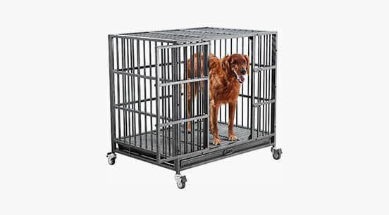 Best Dog Crates for Labrador Retrievers: Ratings & Reviews | Canine Journal