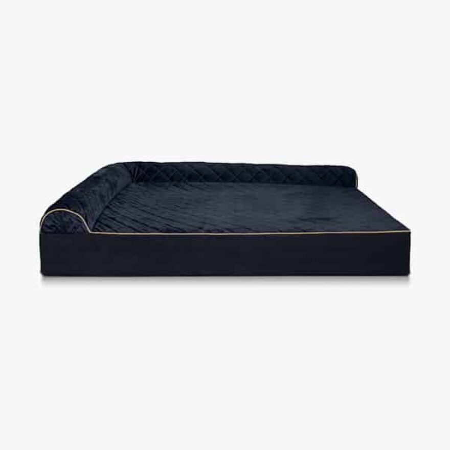 Best Dog Beds For English Mastiffs: Ratings & Reviews | Canine Journal