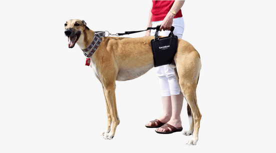 Best Dog Lift Harnesses For Handicapped, Injured, Or Weak Back Legs ...