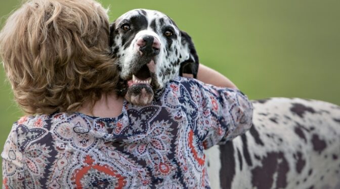 When Love Isn’t Enough: The Rise Of Economic Euthanasia From Our Study ...