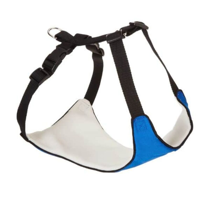 Best Dog Lift Harnesses For Handicapped, Injured, Or Weak Back Legs ...