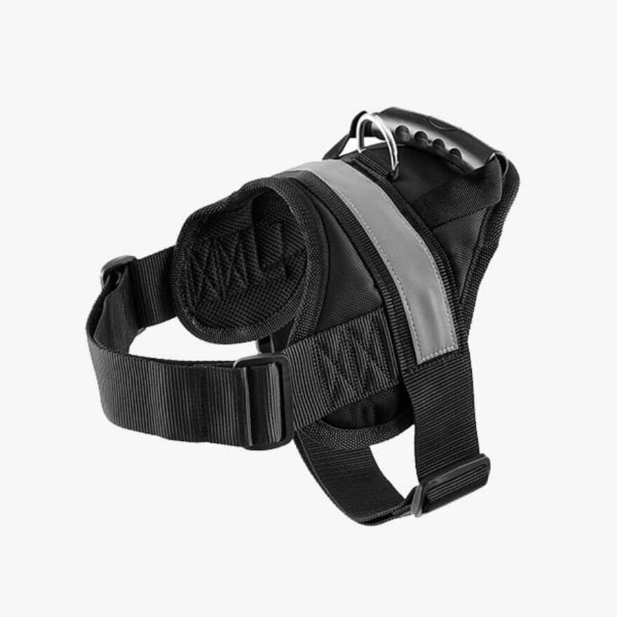 Best Harnesses For Labrador Retrievers: Ratings & Reviews | Canine Journal