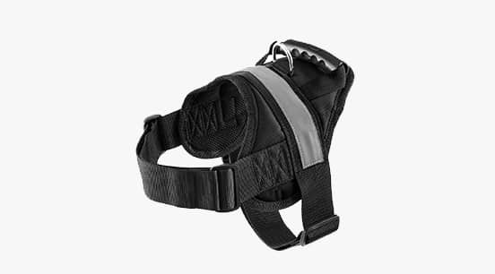 Best Harnesses For Boxers: Ratings, Reviews & Top Picks | Canine Journal