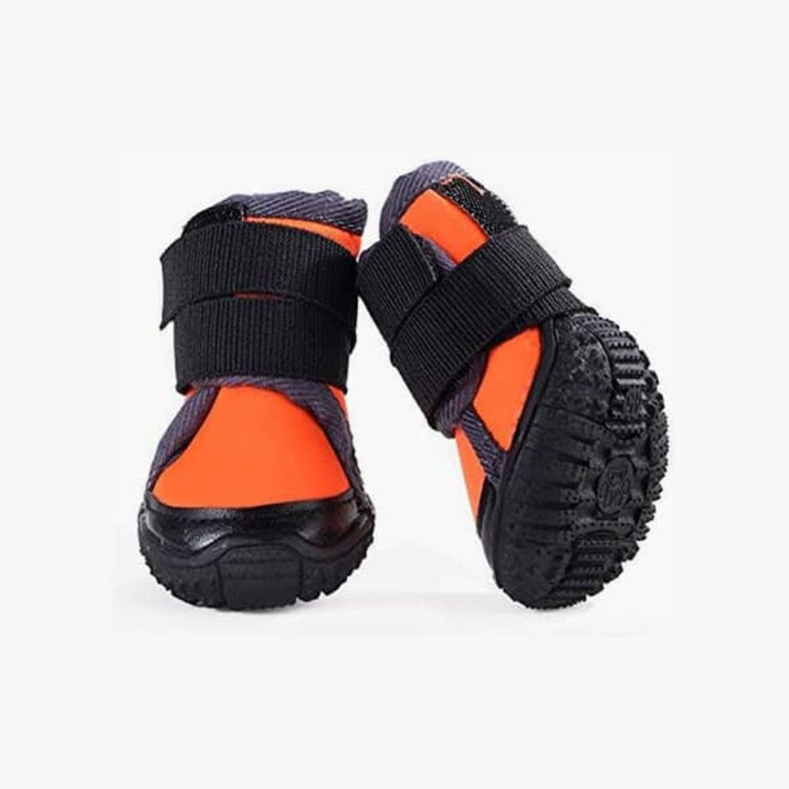 Best Snow Boots For Dogs: Protecting Paws In Winter | Canine Journal