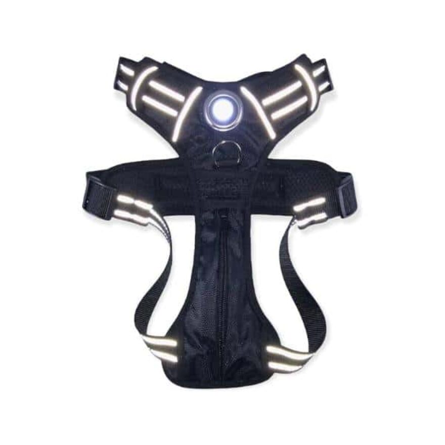 Best Harness For Standard Poodles: Ratings, Reviews, Top Picks | Canine ...