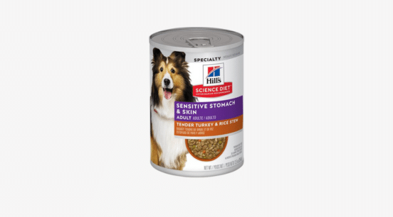 Best Canned Dog Food For Sensitive Stomachs, Grain-Free & More | Canine Journal