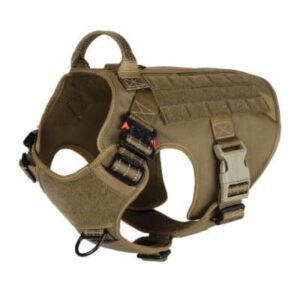 6 Best Tactical Dog Harness For Hiking, Service, Working, Military Use