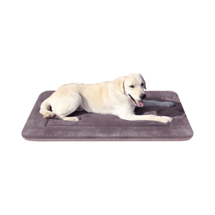 Best Dog Crate Beds, Pads & Mats For Inside Your Pup's Kennel | Canine ...
